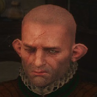 🔥 Dudu Biberveldt MBTI | The Witcher Personality Types