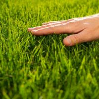 🔥 If Touching grass has a personality type...