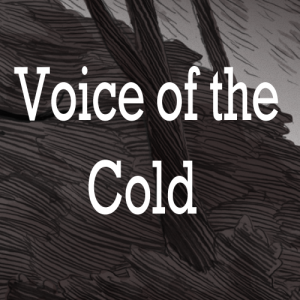 🔥 Voice of the Cold MBTI | Slay the Princess Personality Types