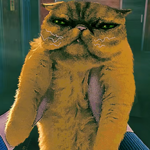 🔥 Cat MBTI | No, I'm Not a Human Personality Types