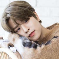 ISFJ Kpop Idols (Updated!)| Voted by Fans