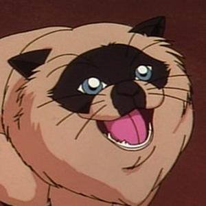 🔥 Aslan MBTI | Detective Conan Personality Types