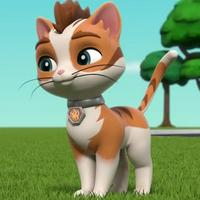 🔥 Wild MBTI | PAW Patrol Personality Types