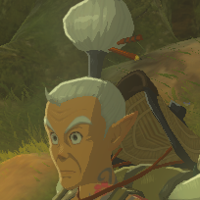 🔥 Pikango MBTI | The Legend of Zelda: BOTW, AOC & TOTK Personality Types