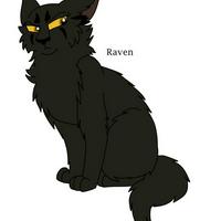 🔥 Raven MBTI | Warriors (Series) Personality Types