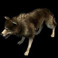 🔥 Wolf MBTI | Age of Empires II Personality Types