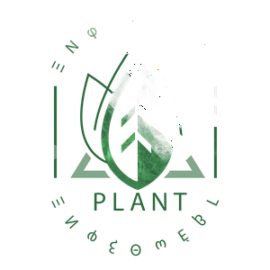 🔥 Plant Afflatus MBTI | Reverse: 1999 Personality Types