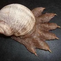 🔥 SCP-075 - "Corrosive Snail" MBTI | SCP Foundation Personality Types