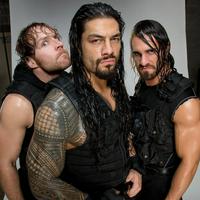 The Shield（WWE 双打） MBTI 揭示（和其他 摔角运动员！）