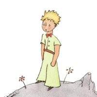 🔥 The Little Prince MBTI Personality Types
