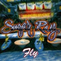 🎵 If Sugar Ray feat. Super Cat - Fly has a personality type...