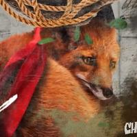 🔥 Fox MBTI | Dimension 20 Personality Types