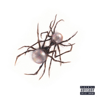 🎵 Doja Cat - Skull And Bones MBTI 哪種MBTI?