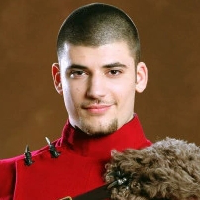 🔥 Viktor Krum MBTI | Harry Potter (Film Series) Personality Types