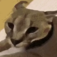 🔥 Hecker MBTI | Beluga's Discord Characters Personality Types