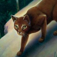 🔥 Wind Runner MBTI | Warriors (Series) Personality Types