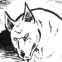 🔥 White Wolf MBTI性格類型 哪種MBTI?