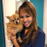 🔥 Dr. Audrey Shen MBTI | Bondi Vet Personality Types