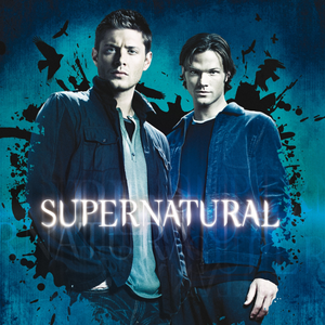 🔥 If Supernatural (2005) has a personality type...