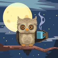 🔥 If Night Owl has a personality type...