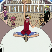 🎵 If One Piece Op6 - Brand New World has a personality type...