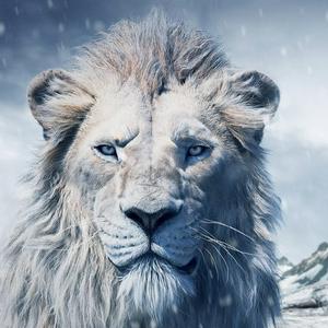 🔥 Kiros MBTI | Mufasa: The Lion King Personality Types