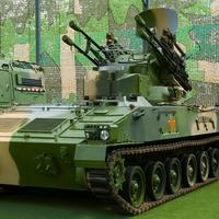 🔥 If Type 95 SPAAA has a personality type...