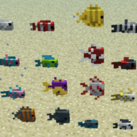 🔥 Tropical Fish (mob) MBTI | Minecraft Personality Types