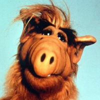 🔥 ALF MBTI | ALF Personality Types