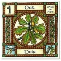 🔥 If Oak, the Stabilizer has a personality type...