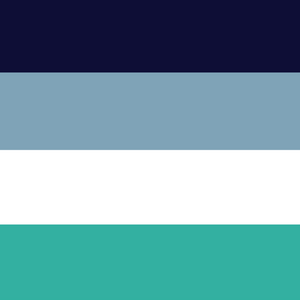 🔥 If Oriented Aroace has a personality type...