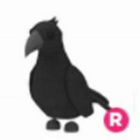 🔥 Crow MBTI | Adopt me! (Roblox) Personality Types