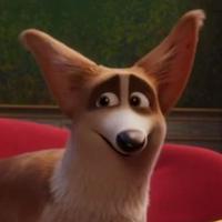 🔥 Charlie MBTI | The Queen's Corgi (2019) Personality Types