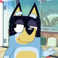 🔥 Dr. Bandit Heeler (Dad) MBTI | Bluey Personality Types