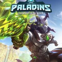 🔥 If Paladins has a personality type...