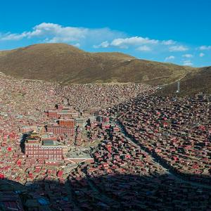 🔥 Garzê , ChinaのMBTIタイプは？