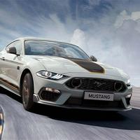 🔥 福特野马 Mach 1 MBTI 哪種MBTI?