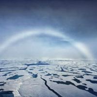 🔥 If White Rainbow has a personality type...