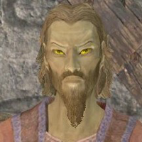 🔥 Nurelion MBTI | The Elder Scrolls Personality Types