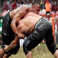 🔥 If Pankration has a personality type...
