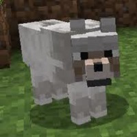 🔥 Wolf (mob) MBTI | Minecraft Personality Types