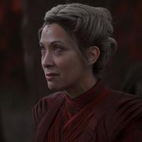 🔥 Magistrate Morgan Elsbeth MBTI | The Mandalorian (2019) Personality Types
