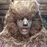 🔥 미스터 비버 MBTI, 어떤 MBTI일까요?