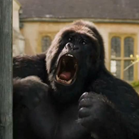 🔥 Chee-Chee MBTI | Dolittle (2020) Personality Types