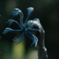 🔥 The Scout MBTI | Significant Other (2022) Personality Types