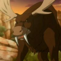 🔥 Saber-tooth Moose Lion MBTI | Avatar: The Last Airbender (2005 ...
