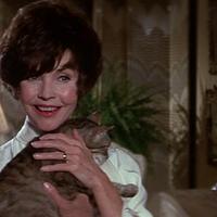 🔥 Lisolette Mueller MBTI | The Towering Inferno (1974) Personality Types