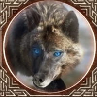 🔥 Dark wolf MBTI | The Wolf Online Simulator Skins (type yourself ...