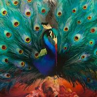 🎵 If Opeth - Persephone has a personality type...