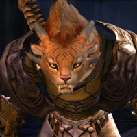🔥 Reeva MBTI | Guild Wars 2 Personality Types